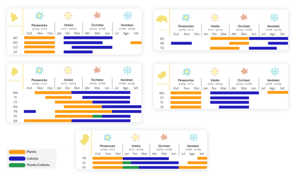 Milho safrinha: tudo que você precisa saber