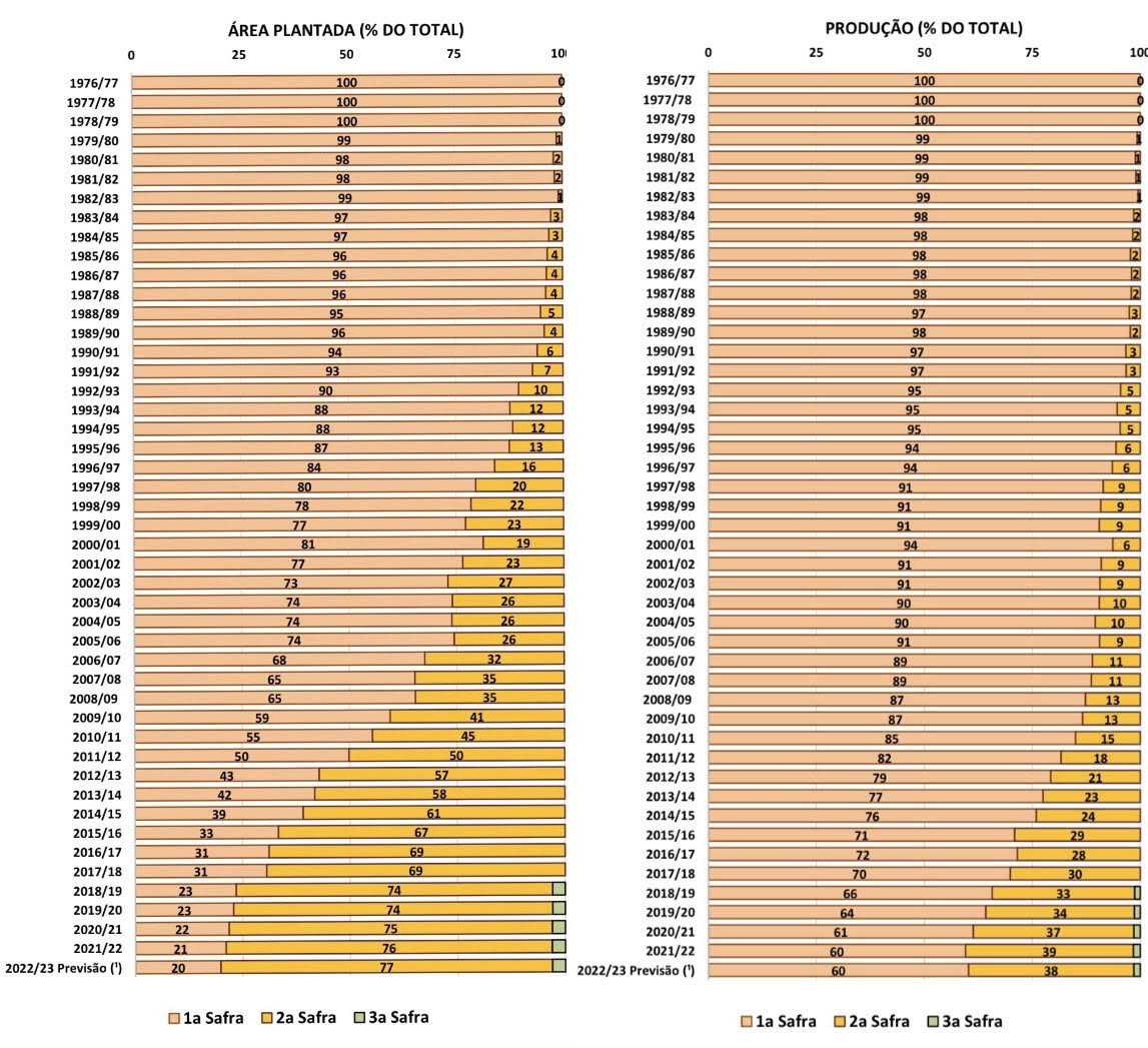 Milho safrinha: tudo que você precisa saber